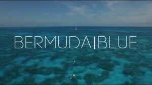 bermuda-blue-taylor-rankin – Bermudians